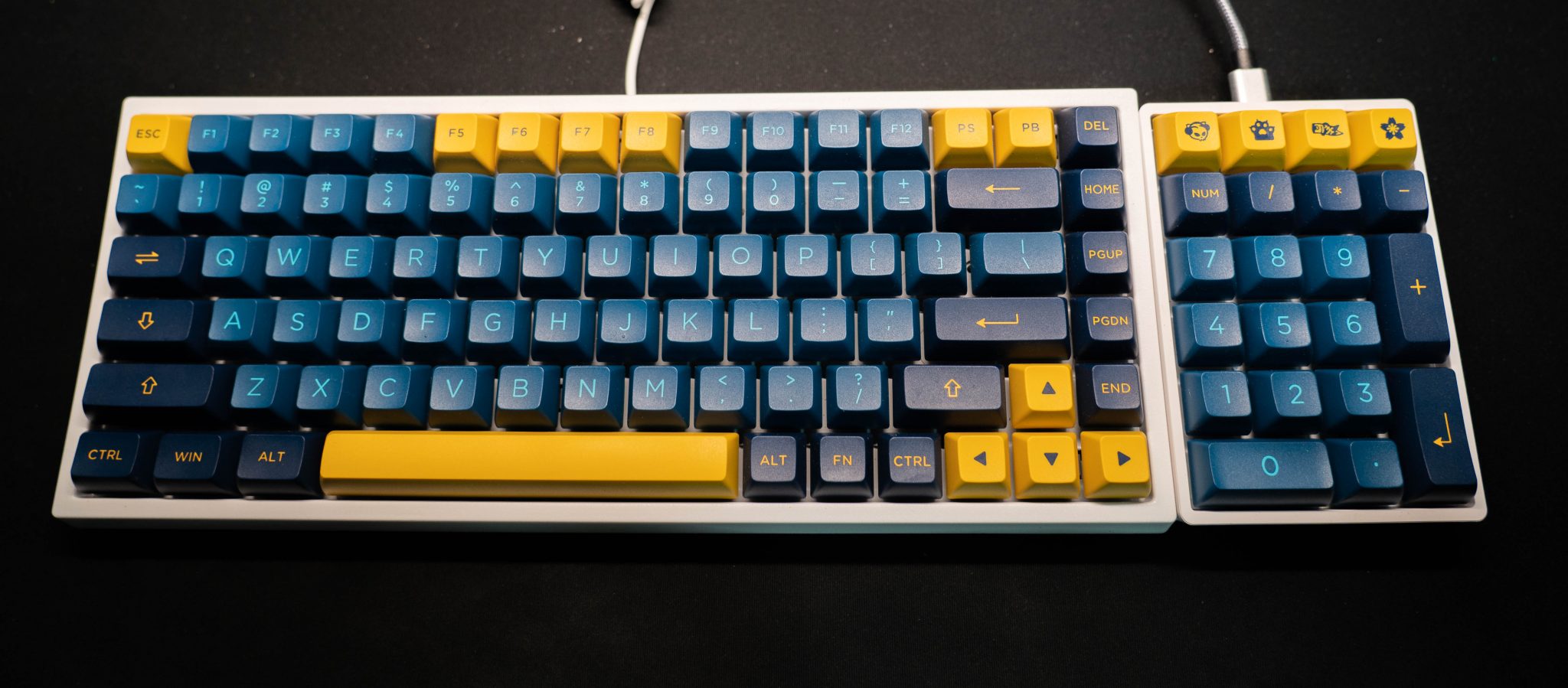 Akko Macaw PBT ASA Keycaps Review – Describee